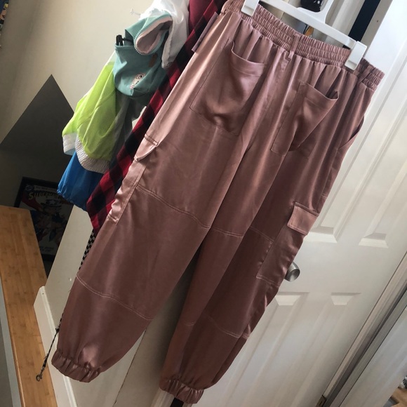 wild fable | Pants & Jumpsuits | Silky Mauve Wild Fable Cargo Pants ...